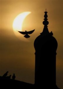 Know the Peace of Sufism Through “Introduction to Sufi Thought ...